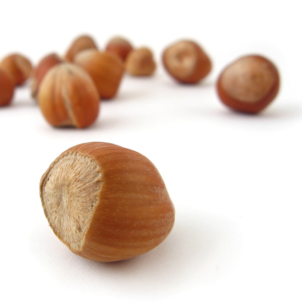 Haselnussgeist – Michael Hilgert Honigberg Brennerei