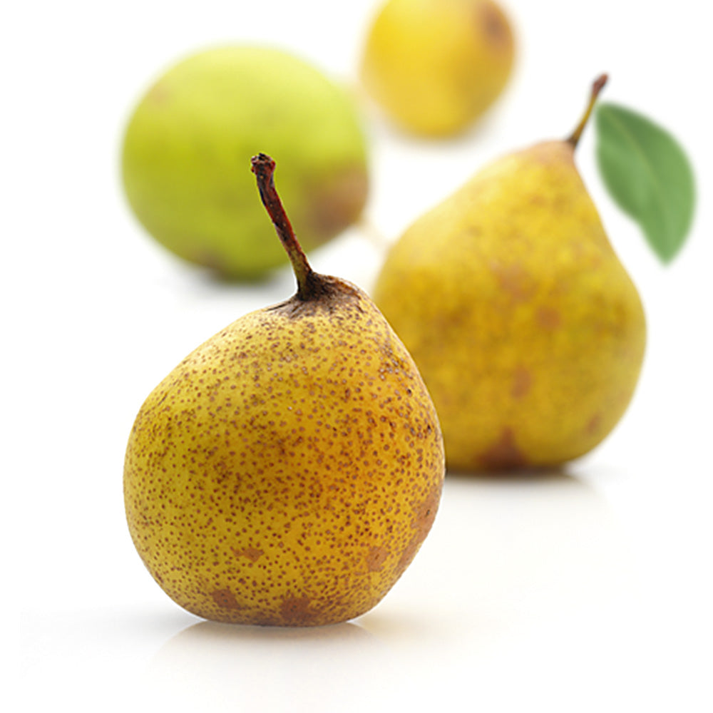 Birne: Pleiner Birnenbrand – Michael Hilgert Honigberg Brennerei