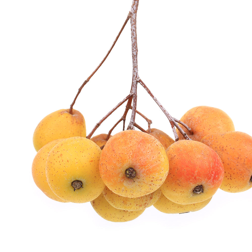 Speierling Brand – Michael Hilgert Honigberg Brennerei