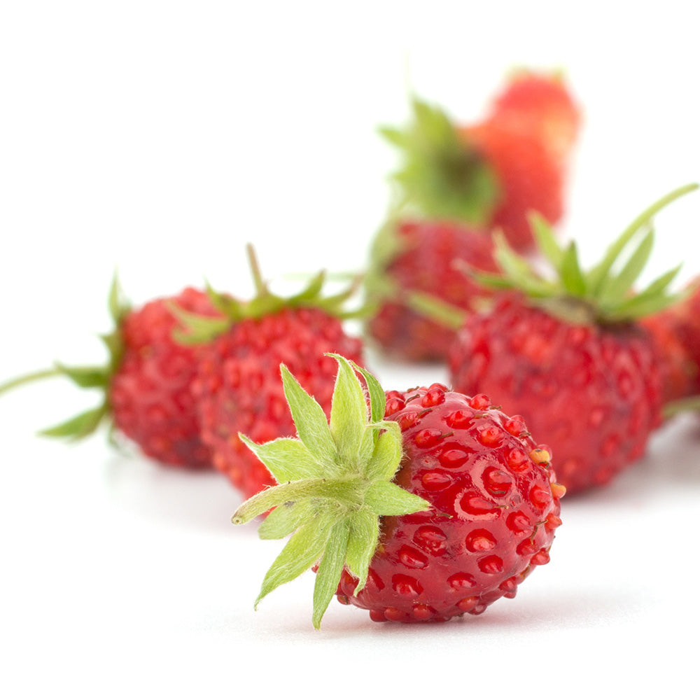 Feinster Wald-Erdbeeren Brand – Michael Hilgert Honigberg Brennerei